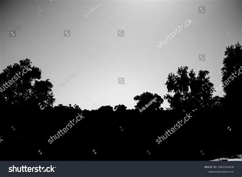 Silhouette Trees Grass Texture Frame Stock Illustration 2063143676