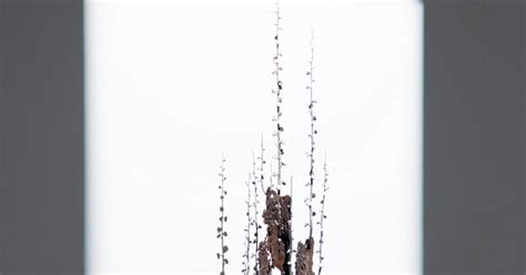 가까스로 버티고 선 조각 고된 삶 속 인간의 희망 담았다 세계로 가는 K 조각의 미래