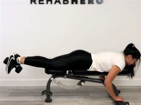 Hamstring Curl Rehab Hero