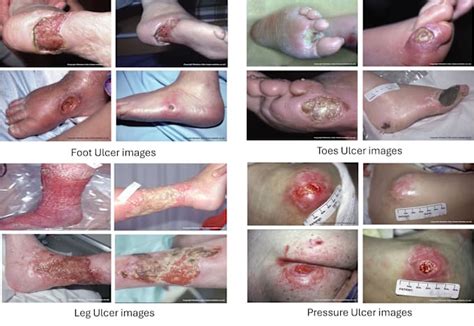 Develop Ml Dl And Cv Algorithms In Python By Webtragic Fiverr