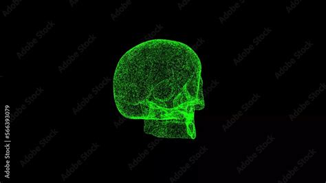 Stockvideon 3d Human Skull Rotates On Black Background Object Dissolved Green Flickering