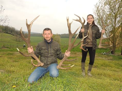 Jura Le Cerf Vincent Est Bien Vivant