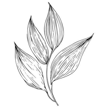 Una Hoja Con La Palabra Amor En Ella Dibujos De Hojas Dibujo De Hojas