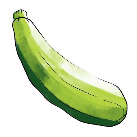 Is Raw Zucchini Healthy