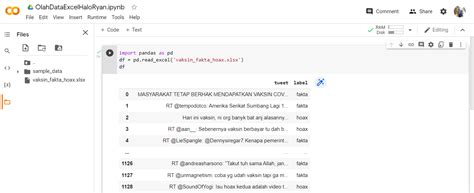 membuka data excel dengan pandas dataframe