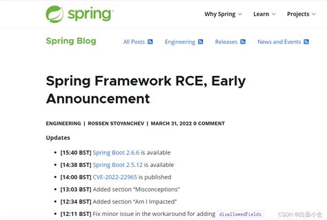 Spring 爆高危漏洞，官方已证实spring Webmvc 5324 漏洞 Csdn博客