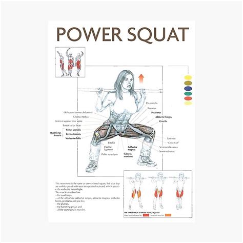 Power Squat Exercise Diagram Photographic Print For Sale By Superfitstuff Redbubble