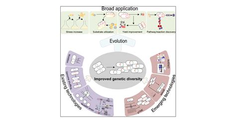 Genetic Diversity For Accelerating Microbial Adaptive Laboratory Evolution Acs Synthetic Biology