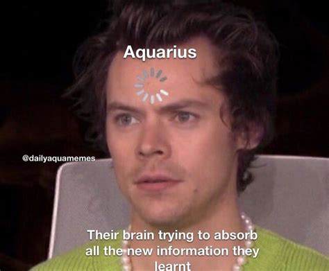 50 Best Aquarius Memes That Describe This Zodiac Sign Artofit
