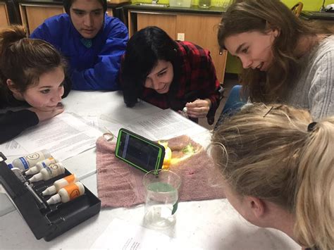 What Is Expeditionary Learning — Sierra Academy Of Expeditionary Learning