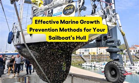 Smooth Sailing Effective Marine Growth Prevention Methods For Your Sailboats Hull Sailing
