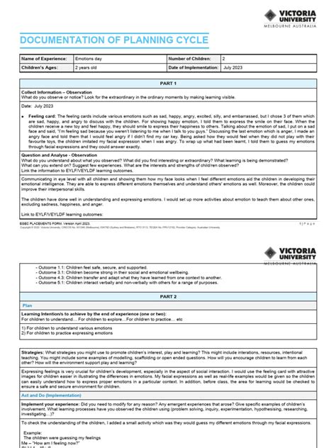 Pst Documentation Of Planning Cycle Template Pdf Emotions Feeling