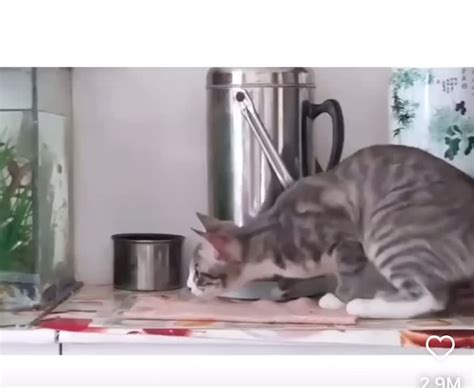 Muhammad Najaf On Linkedin Perfect Example