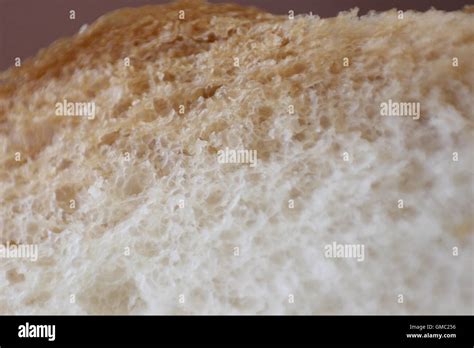 A Macro Photograph Of Apiece Of Bread Showing The Complexity Of The
