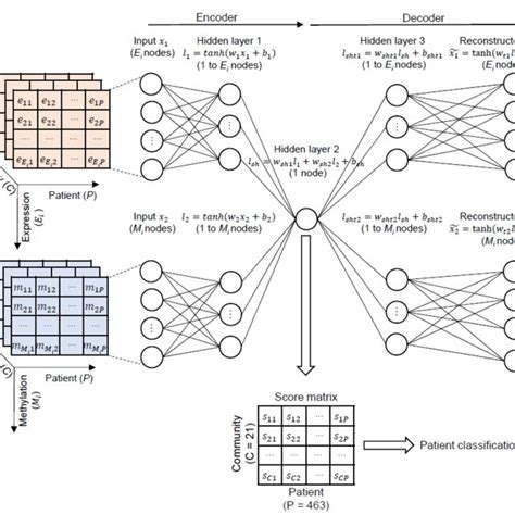 The Architecture Of The Autoencoder Model The Model Has One Input