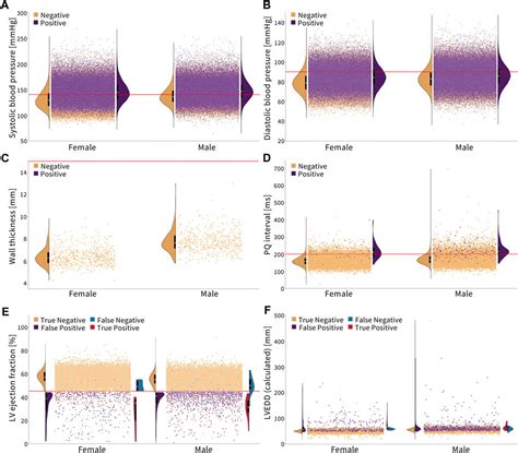 Frontiers Sex Specific Cardiovascular Risk Factors In The Uk Biobank