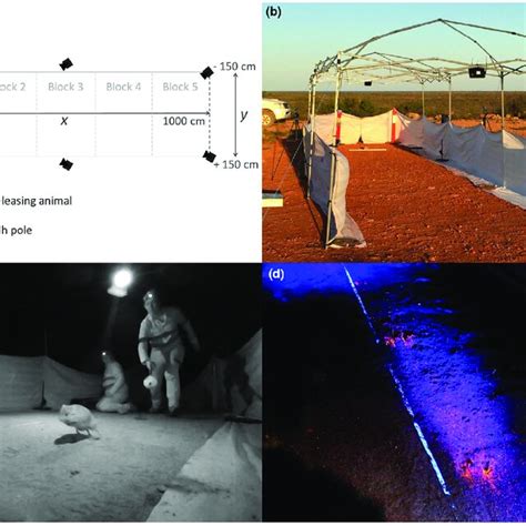 A Runway And Camera Set Up Showing The Horizontal Xy Coordinate Download Scientific Diagram