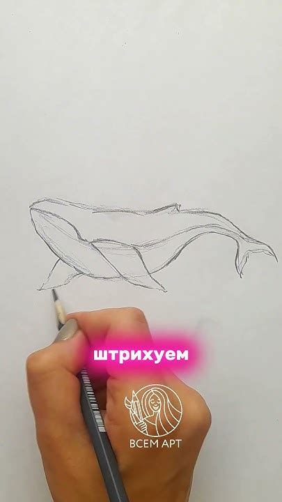 Как нарисовать кита Короткие уроки рисования карандашом от Всем Арт Short Shorts Youtube
