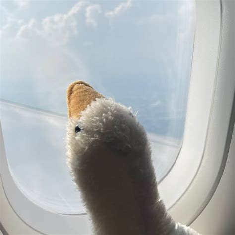 Sam Besaman On Threads