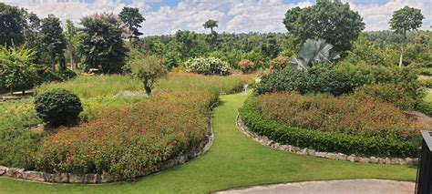 Khu Du Lịch Sinh Thái Chavi Garden