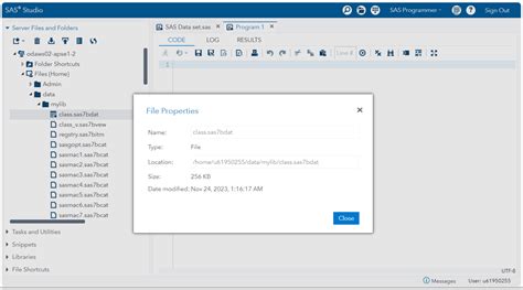 Sas Data Set Explained In 5 Minutes Learn Sas Code