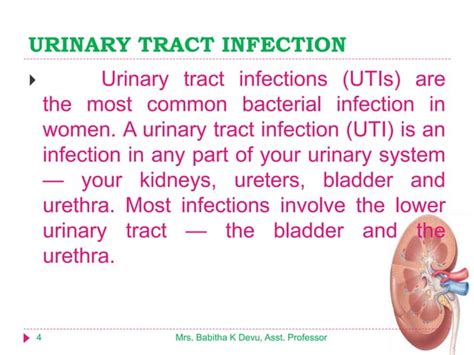 Notes On Urinary Disorders 1 Pptx