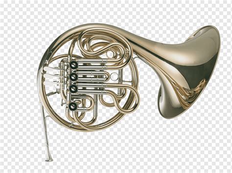 프렌치 호른 악기 악기 음악 경적 Png Pngwing