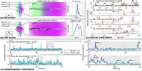 Figure 1 From Feynman Enderlein Path Integral For Single Molecule Nanofluidics Semantic Scholar