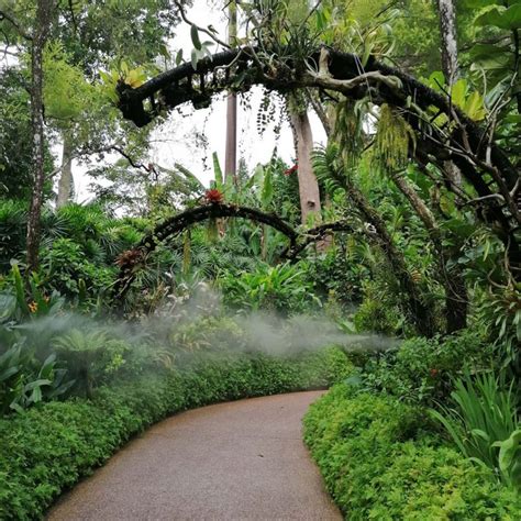Singapore Botanical Garden Strolling Through Endless Beauty