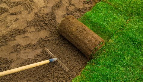 Log Splitter Plans Homemade DIY Options Backyard Boss