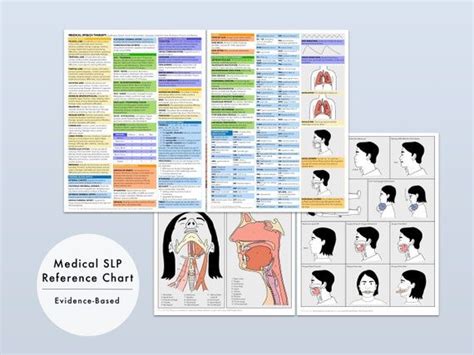 Medical Speech Therapy Reference Chart Pdf Adult Speech Therapy Cheat