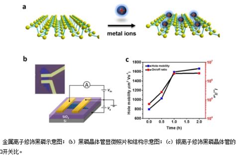 深圳先进院等制备出离子增强型高效黑磷晶体管