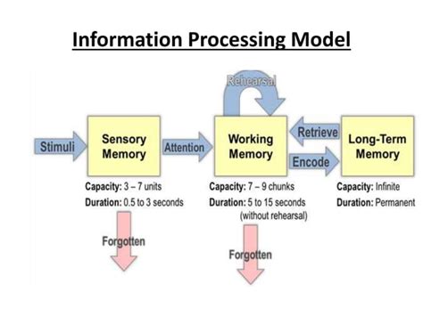 Cognitive Load Theory Clt Power Point Pptx Pptx Education
