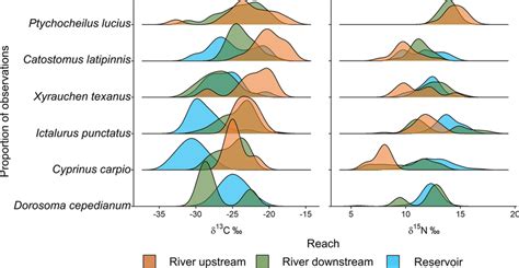 Density Ridgeline Plots Showing Distribution Of δ¹³c And δ¹⁵n Of Download Scientific Diagram