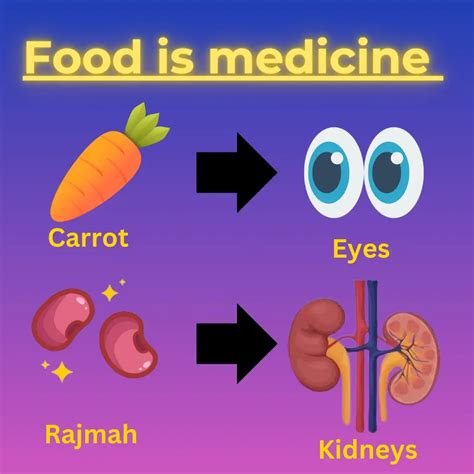Bsc Food Science Nutrition And Dieteticsfsnd Loyolafsnd