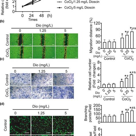 Dioscin Promotes Angiogenesis In Hypoxic Endothelial Cells A Dioscin