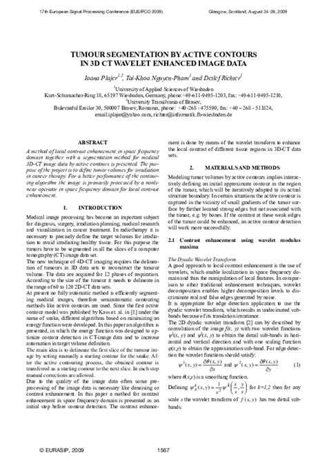 Pdf Tumour Segmentation By Active Contours In 3d Ct Wavelet Enhanced Image Data