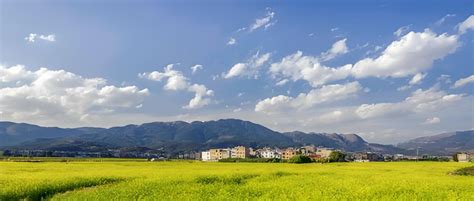 大数据算法学习：usercf（基于用户的协同过滤）协同过滤算法通过什么方式收集数据实现个性化推荐 Csdn博客