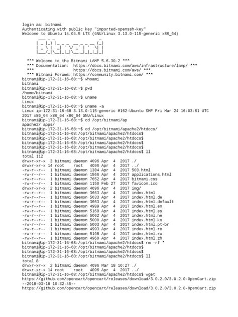 lab pdf system software computing
