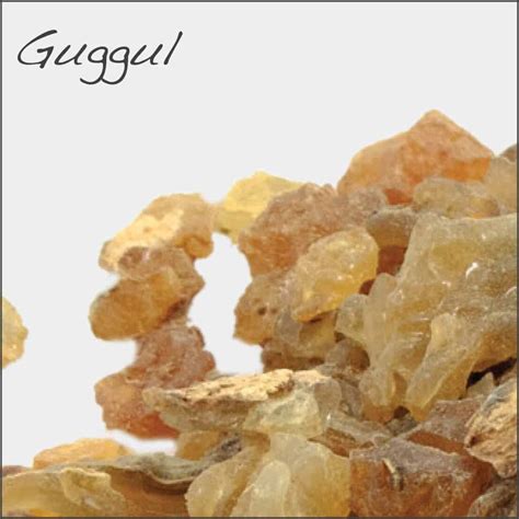 Guggul | A Beginner’s Guide (UPDATE: Jun 2018) | 17 Things You Need to Know