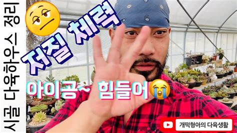 힘들어서 힘들다~😱 시골 다육하우스 정리~😢 잘못함😅 다육이 다육식물 Youtube