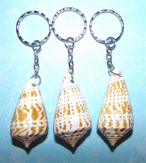 Seashell Keychain Local And Exotic Seashell Keyring 3rd Listing Etsy