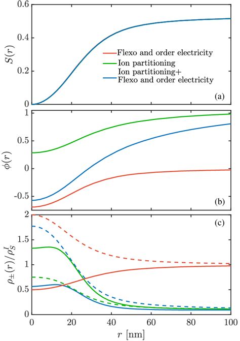 Electric Double Layer Of A Radial þ1 Nematic Topological Point Defect