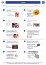 Fossils I Earth Science Worksheets And Study Guides High Babe