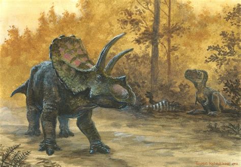 Eotriceratops Xerinsularis