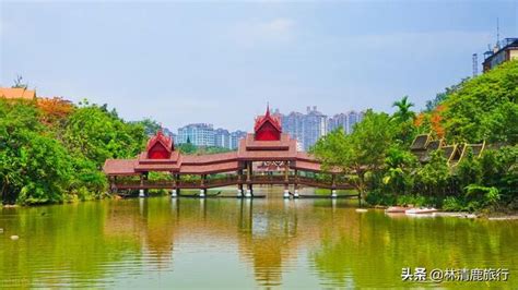中國少有的熱帶城市，大量東北人來養老，冬天氣溫媲美三亞 每日頭條