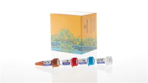 Lumit Detection Reagent B Vb4050 East Port Praha