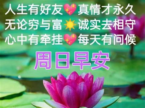 早上好星期六快乐图片 早上好快乐图片大全 配图网