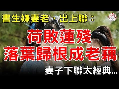 書生嫌妻老出上聯荷敗蓮殘落葉歸根成老藕妻子下聯成經典 對聯故事 歷史萬花鏡 YouTube