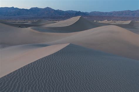 메스키트 플랫 모래 언덕에서 이른 아침 햇빛 모래 언덕과 산 데스 밸리 국립 공원 캘리포니아 미국 스토브 파이프 우물 모래 언덕 모래 아름다운 배경에 아주 좋은 구조 0명에